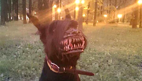 Terrifying Muzzle Will Transform A Dog Into Werewolf