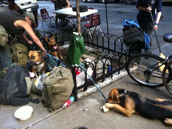 Soup Kitchen Offers Homeless Pets And Their Humans Meals And So Much More