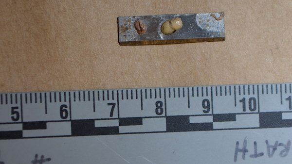 Police Warn Parents To Inspect Halloween Candy After Two Children Find ...