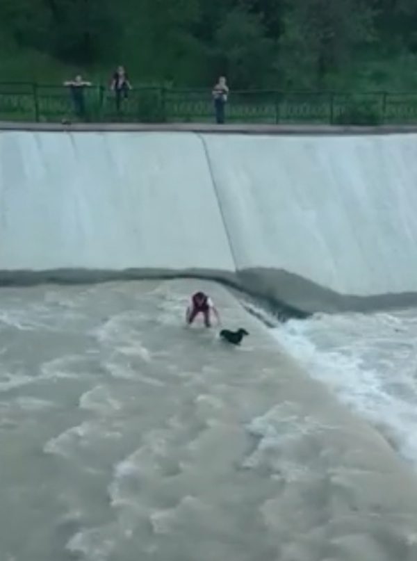 People Form A Human Chain To Save Dog’s Life