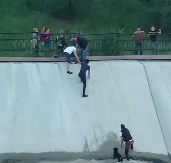 People Form A Human Chain To Save Dog’s Life
