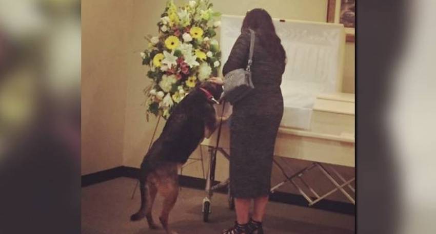 Dog Stands At Casket To Say Last Goodbye To Owner In Heartbreaking Photo