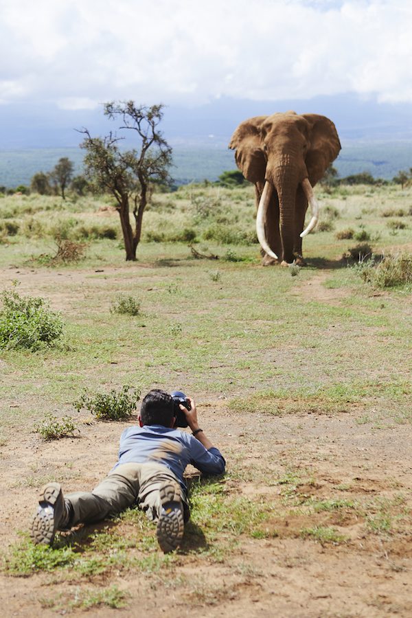 Photographer Of Majestic Super Tusker Elephants Striving To Help Them ...