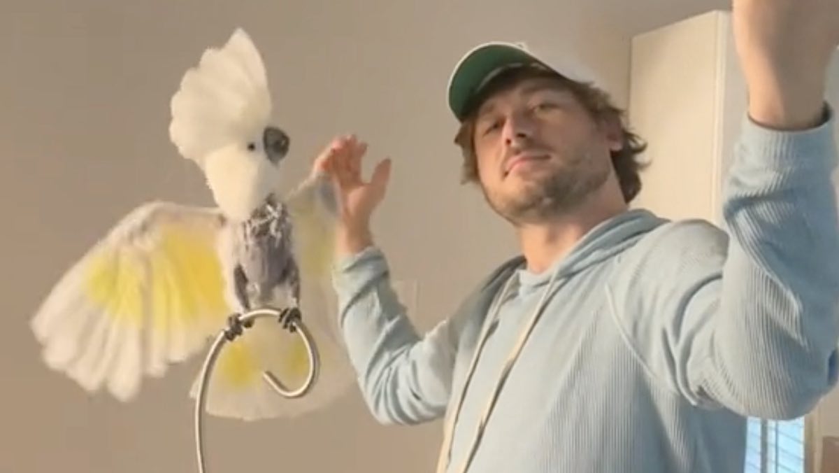 Grieving Bird's Heart Heals After Dancings With Her New Dad
