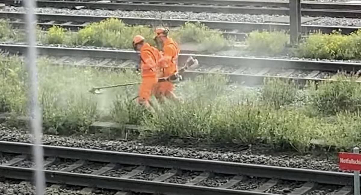 Workers Dancing While Cutting Grass Make Train Passengers Laugh